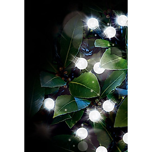 WONFAST Solar Bulb Lights, Waterproof 1.5meter 10LED Plastic Solar Clear Globe Bulbs Fairy String Lights for Indoor/Outdoor Christmas Wedding Party Garden Holiday Landscape Decoration (White)