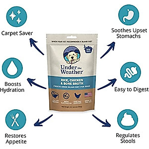 Under the Weather Easy to Digest Bland Diet for Sick Dogs - Always Be Ready - Contains Electrolytes - Gluten Free, All Natural, Freeze Dried 100% Human Grade Meats - Chicken, Rice & Bone Broth