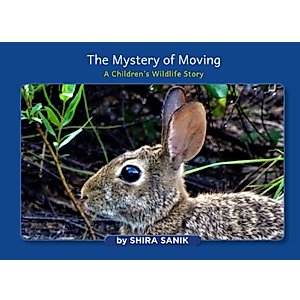 The Mystery of Moving: A Children's Wildlife Story