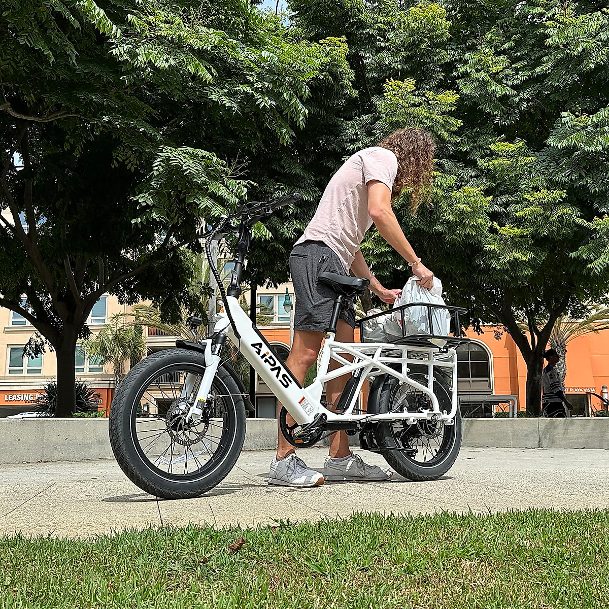 Aipas Electric Bike for Adults, 48V 14.4Ah LG Battery Electric Cargo Bike, 750W Electric Bike, 28 MPH, 50 Miles Long Range Electric Bike, Electric Bike for Two People, 2 Person Electric Bike