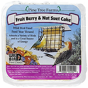 Pine Tree 1202 Fruit Berry and Nut Suet Cake, 12-Ounce