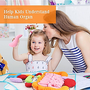 AIPINQI Anatomy Apron,Body Anatomy Apron Kids Human Body Organs Awareness Educational Toys for Children Preschool Science Homeschool Teaching Aids