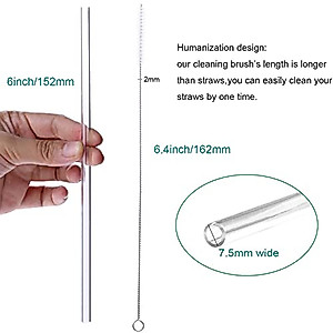 Dakoufish 12 Reusable Drinking Straws Free Cleaning Brush - Dishwasher Safe - Eco-Friendly - 15 cm (6 in) x 0.75 cm - Perfect for Cocktails (6inch,Clear)