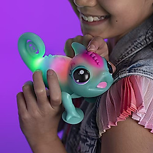 Little Live Pets - Sunny The Bright Light Chameleon Interactive Color Change Light Up Toy, 30+ Sounds & Emotions, So Many Moods, Repeats Back, Beat Detection (Batteries Included, for Kids Ages 5+)
