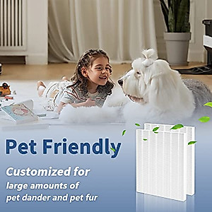 115115 HEPA Replacement Filter A for Winix PlasmaWave Air Purifier C535, 5300, 6300, 5300-2, 6300-2, P300, 2 Pack True HEPA Size 21 Filter