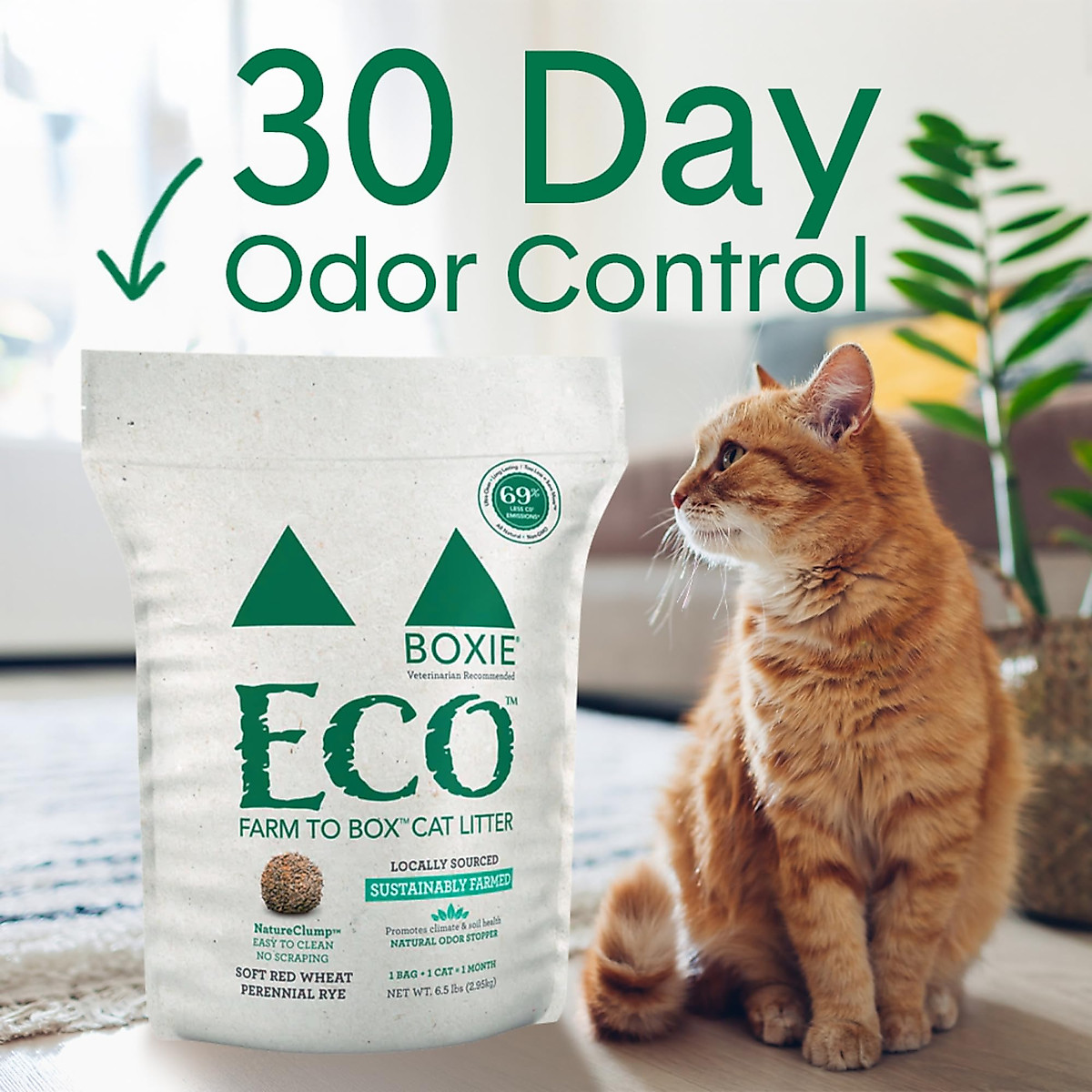 Boxie® Eco™ Farm to Box Sustainable 30 Day Odor Control Clumping Cat Litter, 6.5lb Boxiecat 99.9% Dust Free Plant-Based Kitty Litter