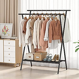 Laiensia Double Rods Clothing Racks for Hanging Clothes,Portable Clothing Hanging Garment Rack with Bottom Oxford Cloth Shelves,Black