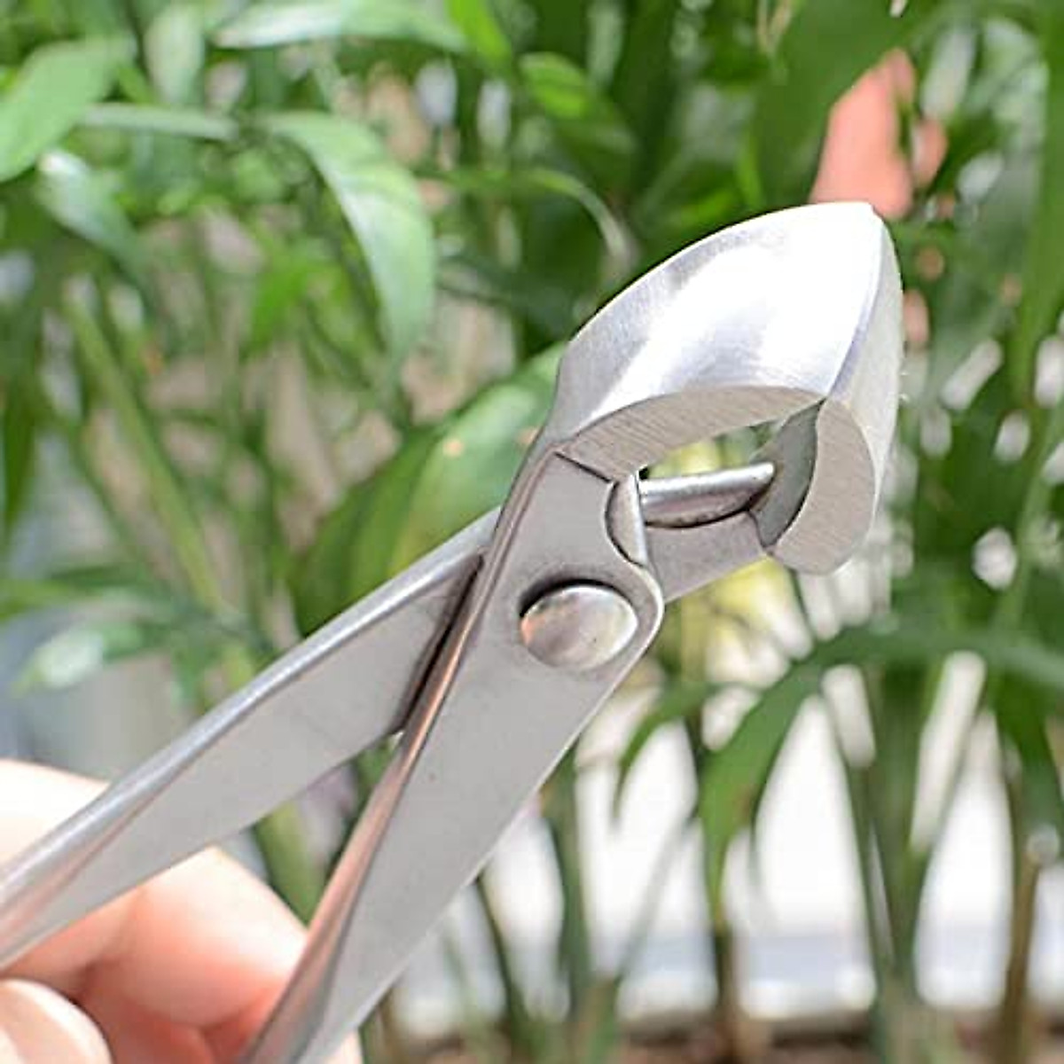 Socobeta Concave Root Cutter, Abrasion Resistant Bonsai Cutters Stainless Steel High Hardness Professional 21cm/8.27in Effective Rustproof for Gardening Tool