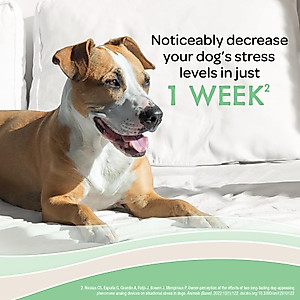 Virbac ZENIDOG Gel Diffuser - Dog Calming Pheromones for Stress Relief, No Electricity Required & Lasts up to 2 Months, Dog Calming Diffuser