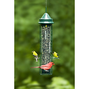 Squirrel Buster Classic Squirrel-proof Bird Feeder w/4 Feeding Ports, 2.4-pound Seed Capacity