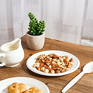 Vplus 100% Compostable Small Paper Plates, 300 Pack 6 Inch Disposable Paper Plates, Uncoated Biodegradable Plates Made of Sugar Cane Fibers, Perfect for Sandwich, Cake, and Snack