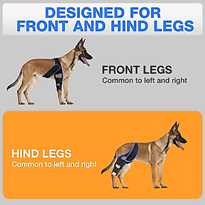 MASBRILL Dog Knee Brace, Adjustable Dog Brace Protector Pads for Back Leg,ACL Hind Leg Brace for Dog Cruciate Ligament Care Knee Brace for Dogs Rear Leg, Joint Pain and Muscle Sore