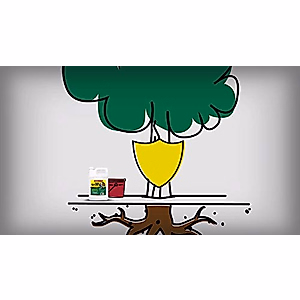 Compare-N-Save Systemic Tree and Shrub Insect Drench - 75333, 1 Gallon