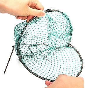 Bird Pigeon Trap, Bird Net Starling Traps, Humane Live Bird Catcher Net, for Small Birds Pigeons Sparrow Quail (30cm)