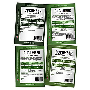 Cucumber Seeds for Planting Outdoors 8 Variety Pack Burpless Tendergreen, Beit Alpha, Marketmore 76, Armenian, Boston Pickling, Lemon, Spacemaster, Straight Eight Veggie Seeds by Gardeners Basics