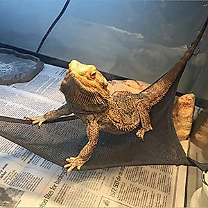 hammock bed pillow sleeping bag dragon bearded tank accessories pet hanging plant turtle small cover toys reptile hide terrarium supplies blanket decor carrier pets gift, Lizards,Gecko Black Small