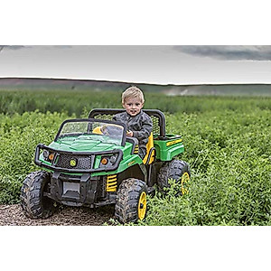 Alfalfa Seeds- Regenerative Cover Crop- Premium Certified Non-GMO Alfalfa Seeds - 1 Lb - High Germination, Conventional Alfalfa Seed -Garden Seed, Cover Crop, Field Growing, Alfalfa Hay, Alfalfa Honey