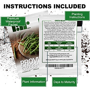 50 Green Bean Seeds for Planting - Provider - Bush Bean - Heirloom Non-GMO Vegetable Seeds for Planting
