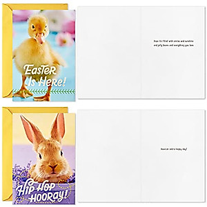 Hallmark Easter Cards Assortment, Bunnies and Chicks (16 Cards with Envelopes)