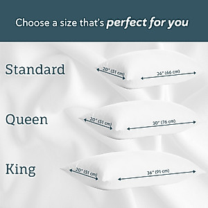 Digital Decor Set of Two 100% Cotton Hotel Down-Alternative Made in USA Pillows - Three Comfort Levels! (Silver, Standard)