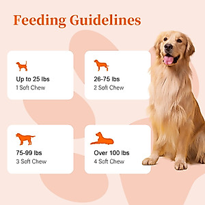 Wiffypets Hip and Joint Supplement Dogs with Glucasamine for Dogs, Hip Pain Relief for Small, Medium and Large Breed, Hip and Joint Chews for Dog MSM, Chondroitin 90 Count, Chicken Flavor