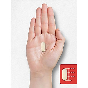 Carlyle Vitamin C with Rose Hips 500mg | 200 Caplets | High Potency Formula | Vegetarian, Non-GMO and Gluten Free Supplement