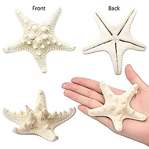 gopiter 12 PCS Starfish | 2.5-6 Inch Starfish Decor | Natural Bulk Starfish Shells Perfect for Crafts Making Beach Theme Party Wedding Decoration, Home Wall Decor, Christmas Ornaments, Fish Tank