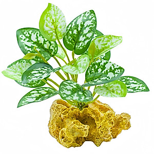 MRTIOO Reptile Artificial Plants, Terrarium Plants Decorations Supplies, Amphibian Habitat Hideout Tank Accessories, Rainforest Ground Plant