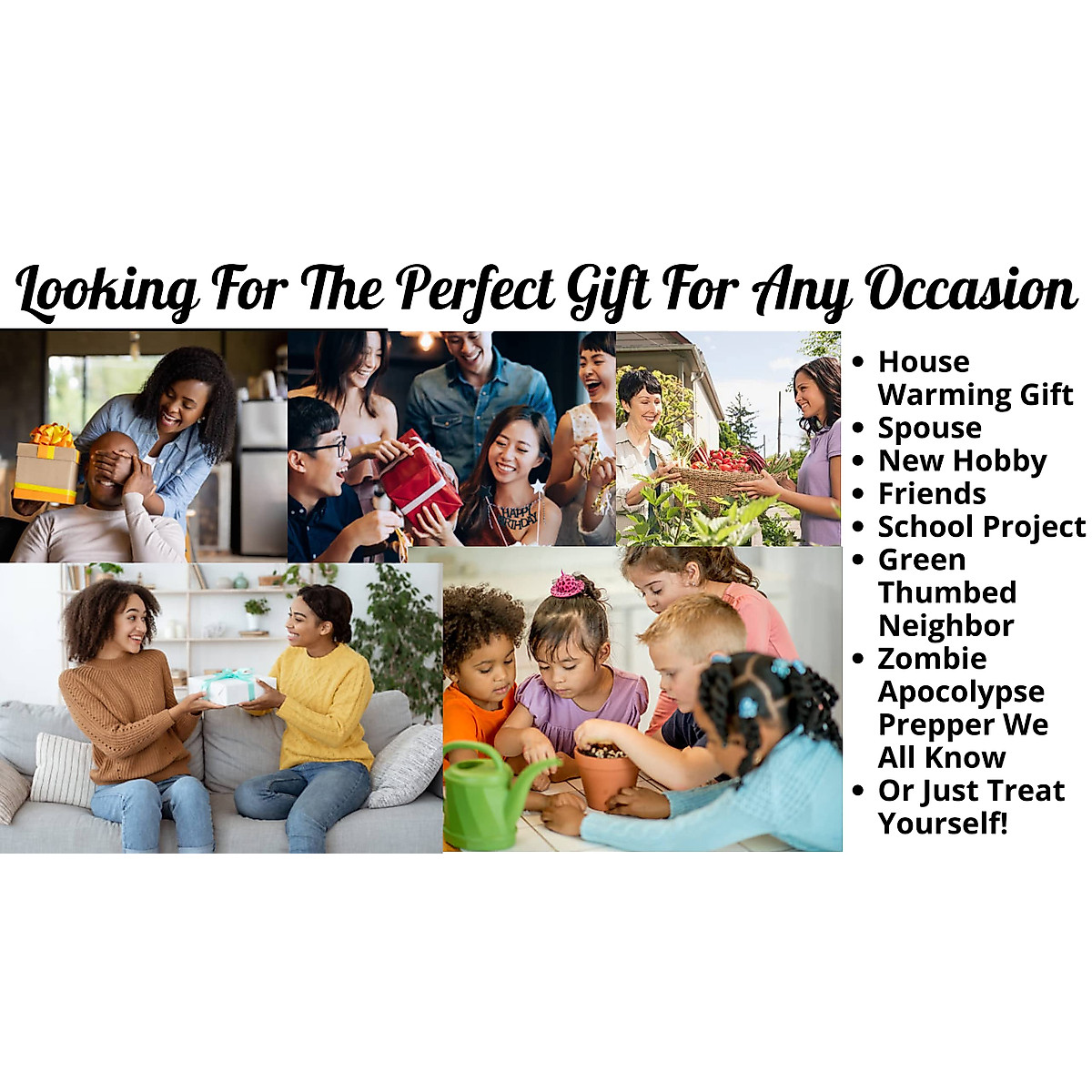 30 Vegetable & Fruit Seeds for Planting Your Outdoor & Indoor Home Seed Garden, Survival Gear Kit Includes 7600 Seeds, A Growing Guide & Mylar Package Gardening Heirloom Non-GMO Veggie Seed B&KM Farms