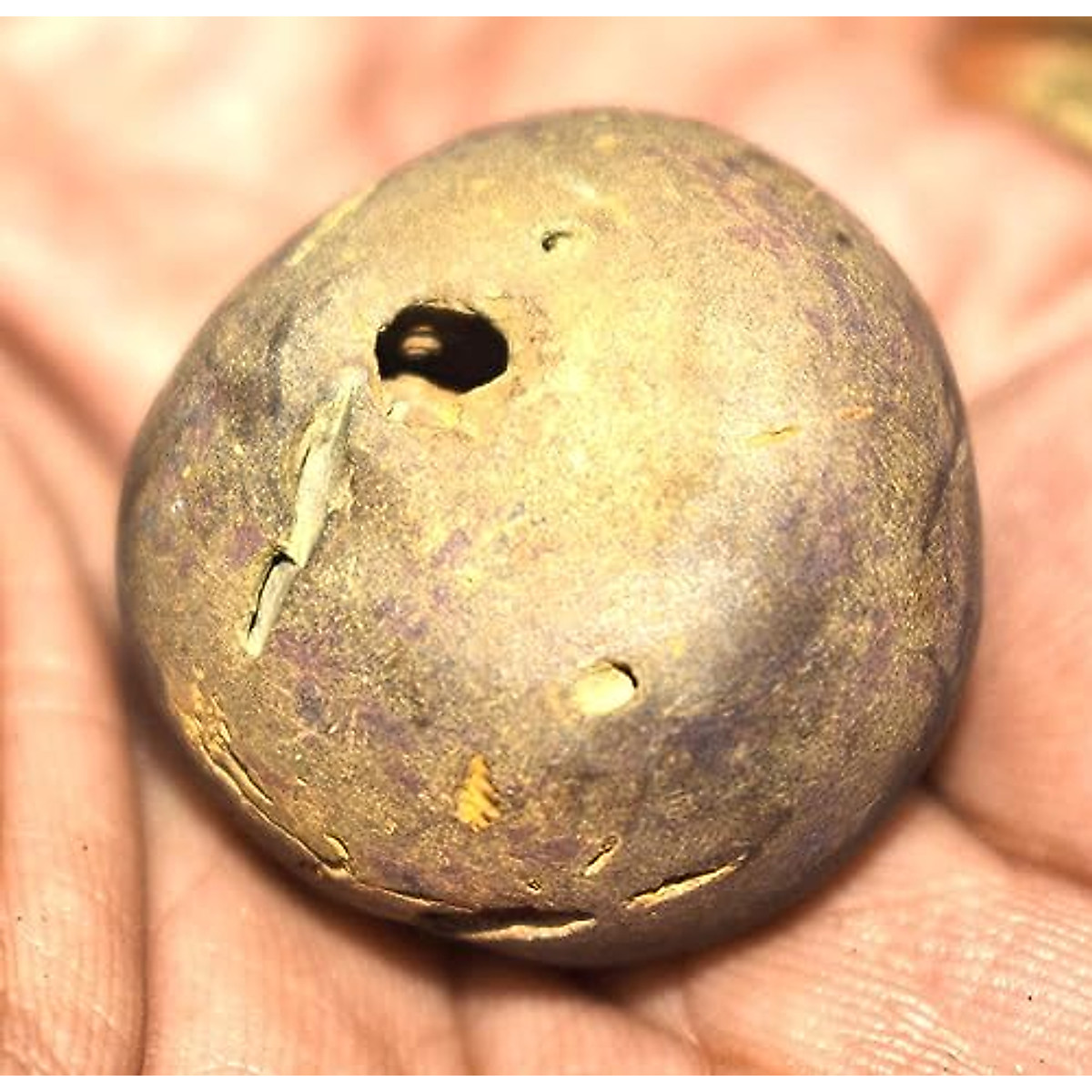 Rare Pitambara Shaligram - Gandaki River Nepal