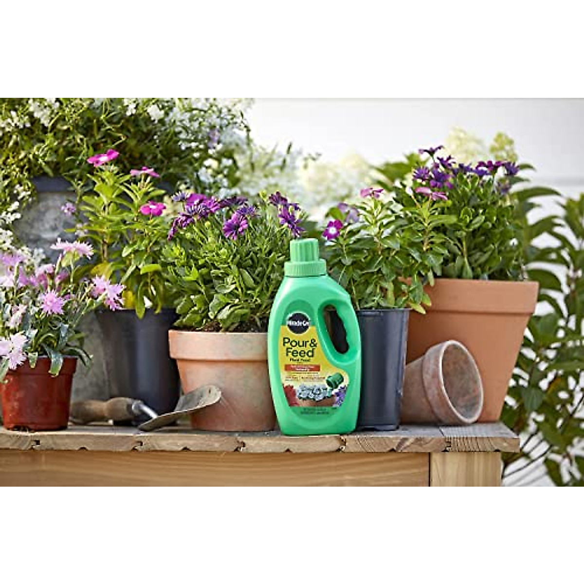 Miracle Gro 1006002 32 Oz Pour & Feed Liquid Plant Food 0.02-0.02-0.02