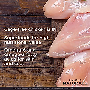 Diamond Naturals All Life Stages Chicken and Rice Formula Dry Dog Food Protein from Real Chicken, and Probiotics