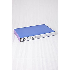 Grill Plate for BRUNO Conpact Hot Plate Model BOE021: BOE021-GRILL BOE021-GRILL (W:300mm H:35mm L:205mm)