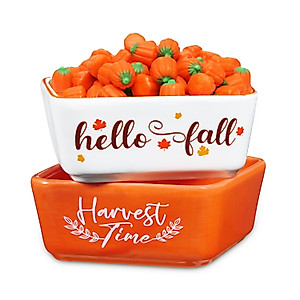 Kederwa 2pcs Fall Candy Dish Set,Mini Autumn Ceramic Candy Bowl with Fall Leave Harvest Fall Tiered Tray Decor Fall Gifts