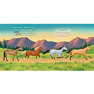 Little Genius Horses