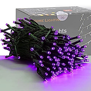HOME LIGHTING 66ft Halloween Decorative Mini Lights, 200 LED Green Wire Fairy Starry String Lights Plug in, 8 Lighting Modes, for Indoor Outdoor Xmas Tree Wedding Party Decoration (Purple)