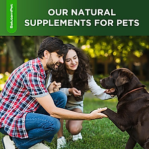 Natural Antibiotics for Dogs | Dog Antibiotics | Supports Dog Allergy Relief | Dog Itch Relief | Dog Allergy Support | Dog Multivitamin | Pet Antibiotics | Dog Antibiotics | 2 Oz