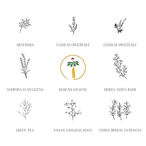 Daeng Gi Meo Ri- Ki Gold Premium Shampoo, Effectively Moisture to Dry and Rough Hair, No Artificial Color, 26.3 Fl Oz