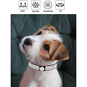 Bling Dog Collar for Small Medium Large Dogs, Crown Rhinestone Dog Collars for Girl and boy Dog, Diamond Puppy Collars, Adjustable Leather Suede SOFE Cat Collar (XS(8.2"-10.6"/21CM-27CM), Rose Red)