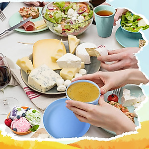 54 Pcs Dinnerware Sets Unbreakable Dish Set for 18 Microwave Dishwasher Safe Reusable Plate Cup and Bowl Set Lightweight Plastic Dishes for Kitchen, Camping, Picnic, RV, Dorm