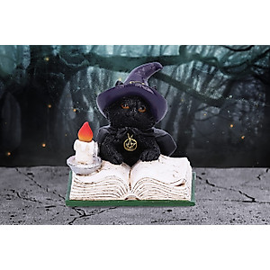 Nemesis Now Familiar's Spell Cat Figurine, Black, 8.5cm