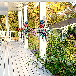 dreamskip Outdoor Wall Decor, 2 Pcak Parrot Decor, Outdoor Metal Wall Art, Mexican Birds Wall Sculpture, For Outside, Yard, Fence, Garden, Patio