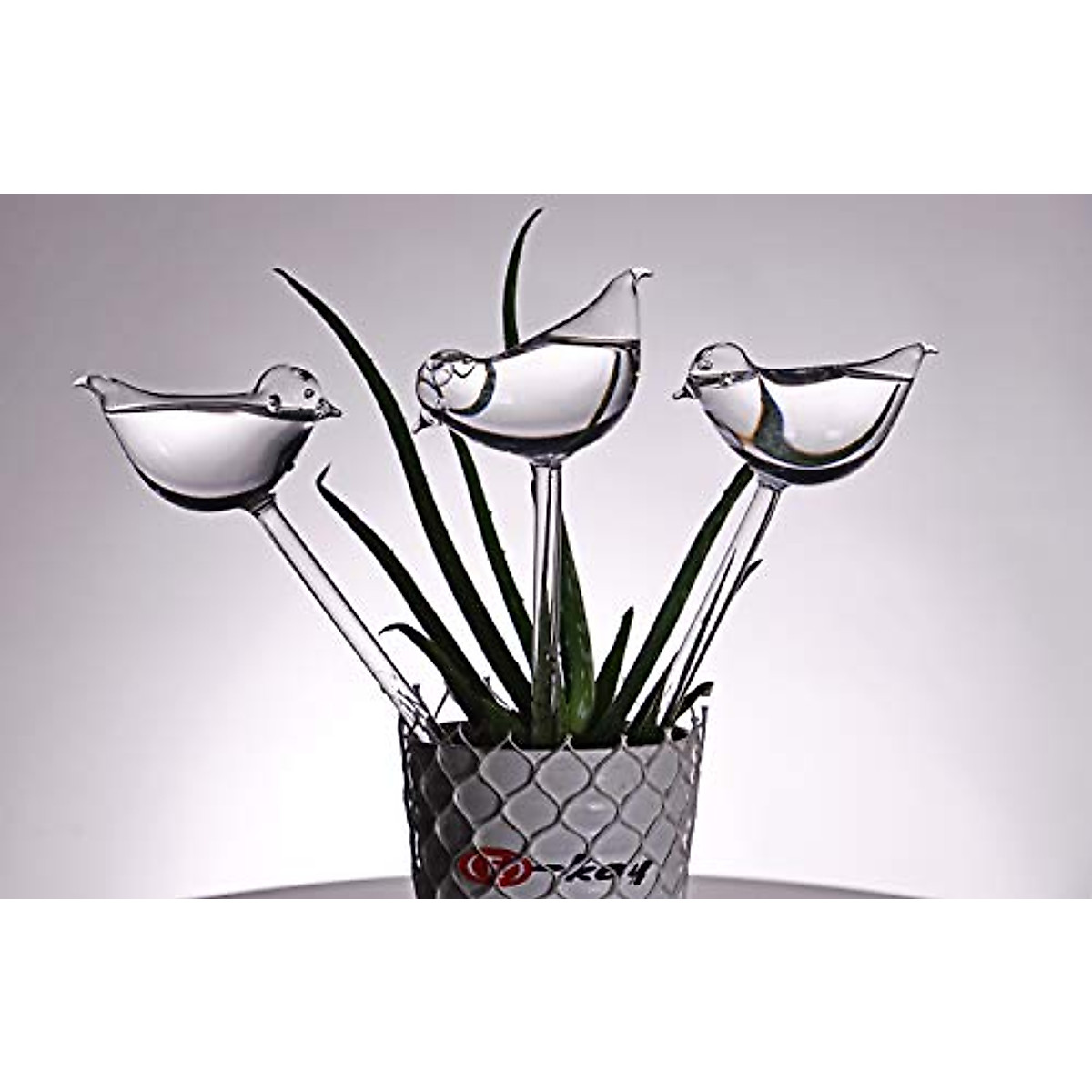 Durable glass Bird Design Watering globes - 3 pack Gift for gardeners, Her or Mom with 3 Water Bulbs, a Funnel + 3 spikes against dirt for Indoor Plants / Watering Bulbs, Water Globes, Home Decoration