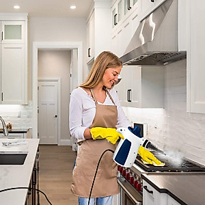 FFDDY MS69 Steam Cleaner, Handheld Multi Purpose High Pressure Chemical Free Steamer 350ML Big Tank Size, Cleaning for Home/Toilet/Bathroom/Auto/Patio/Grout, Blue