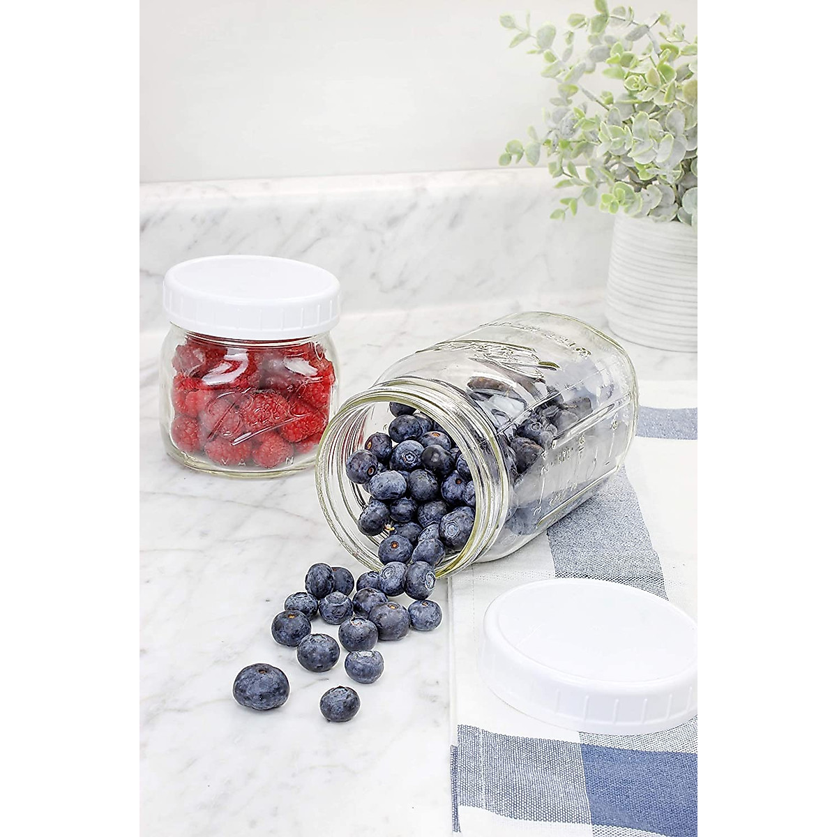 Cornucopia Wide Mouth Plastic Mason Jar Lids with Silicone Seal Rings (24-Pack Deluxe Set)