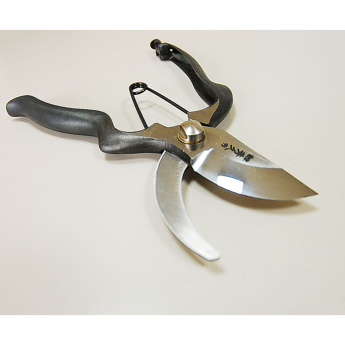 Soke Hidehisa Professional Garden Shears YP200 (Japan Import)