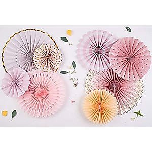 PapaKit Origami Wall Decoration Set (8 Assorted Round Paper Fans) Birthday Party Baby Shower Wedding Events Decor | Creative Art Design Pattern (Sparkling Pink Rose Blush, 8 Piece Set)