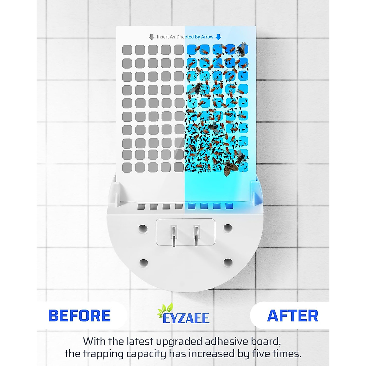 Eyzaee Fruit Fly Traps for Indoors, 2 in 1 Flying Insect Trap Blue Light Plug in Bug Catcher with Warm Night Light Effective Insect Control for Home-Odorless and Mess Free(1 Device + 5 Glue Boards)