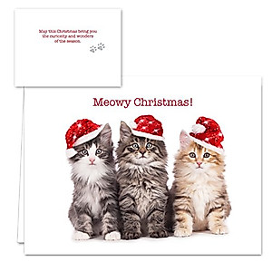 Christmas Cats Holiday Card Assortment Pack / 25 Seasonal Kitten Greeting Cards And Envelopes / 5 Sleeping Santa Animal Designs And Christmas Messages