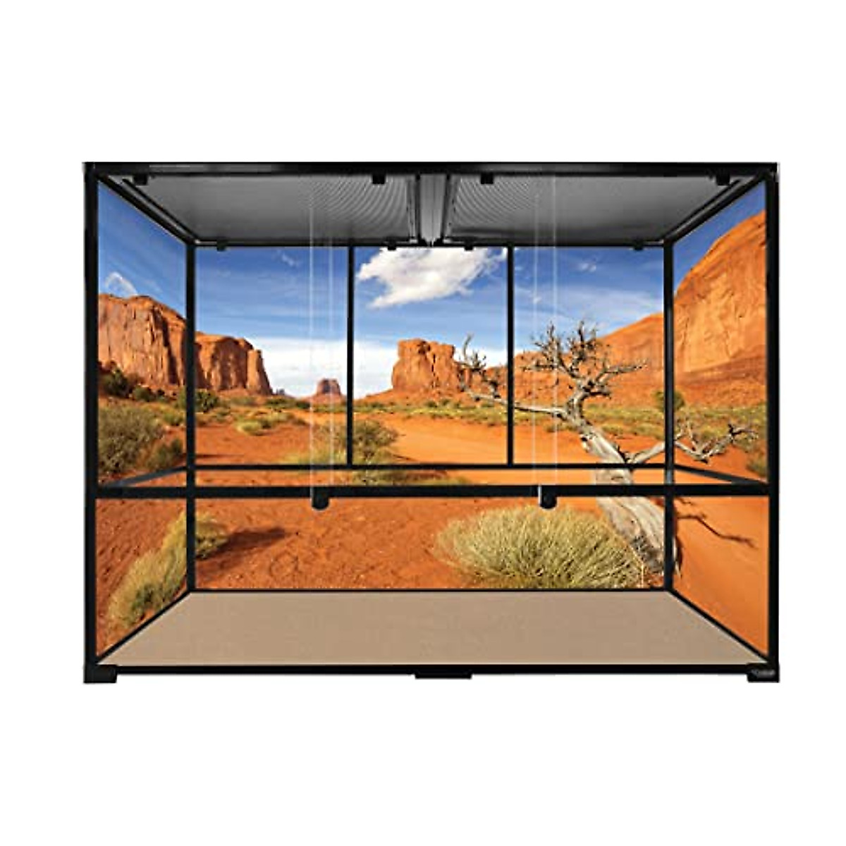 Carolina Custom Cages Terrarium, Bio Deep 48Lx24Wx36H, Easy Assembly